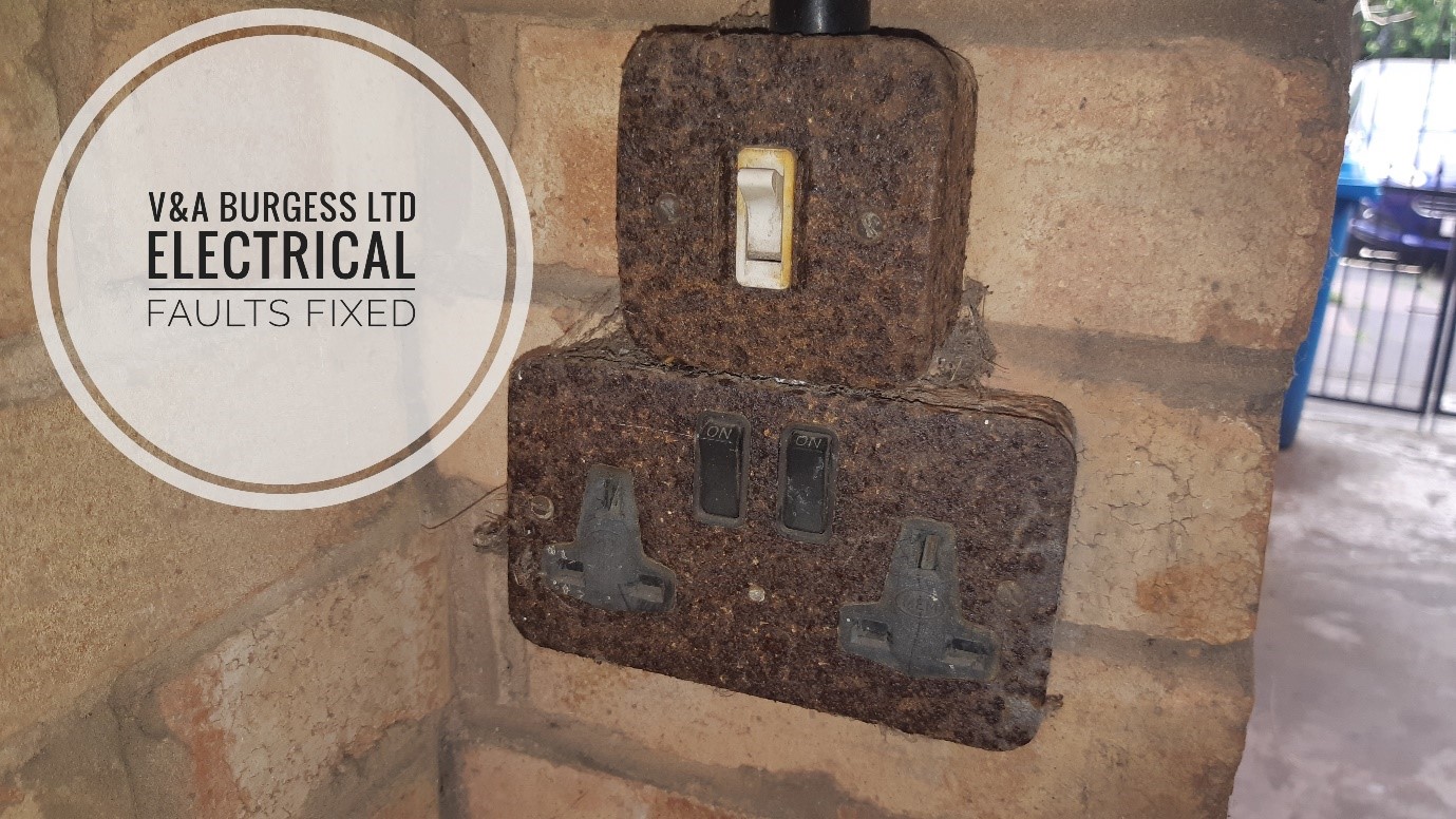 Safe Electric | Electrical Faults Fixed